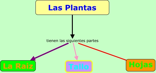 las plantas ejemplo